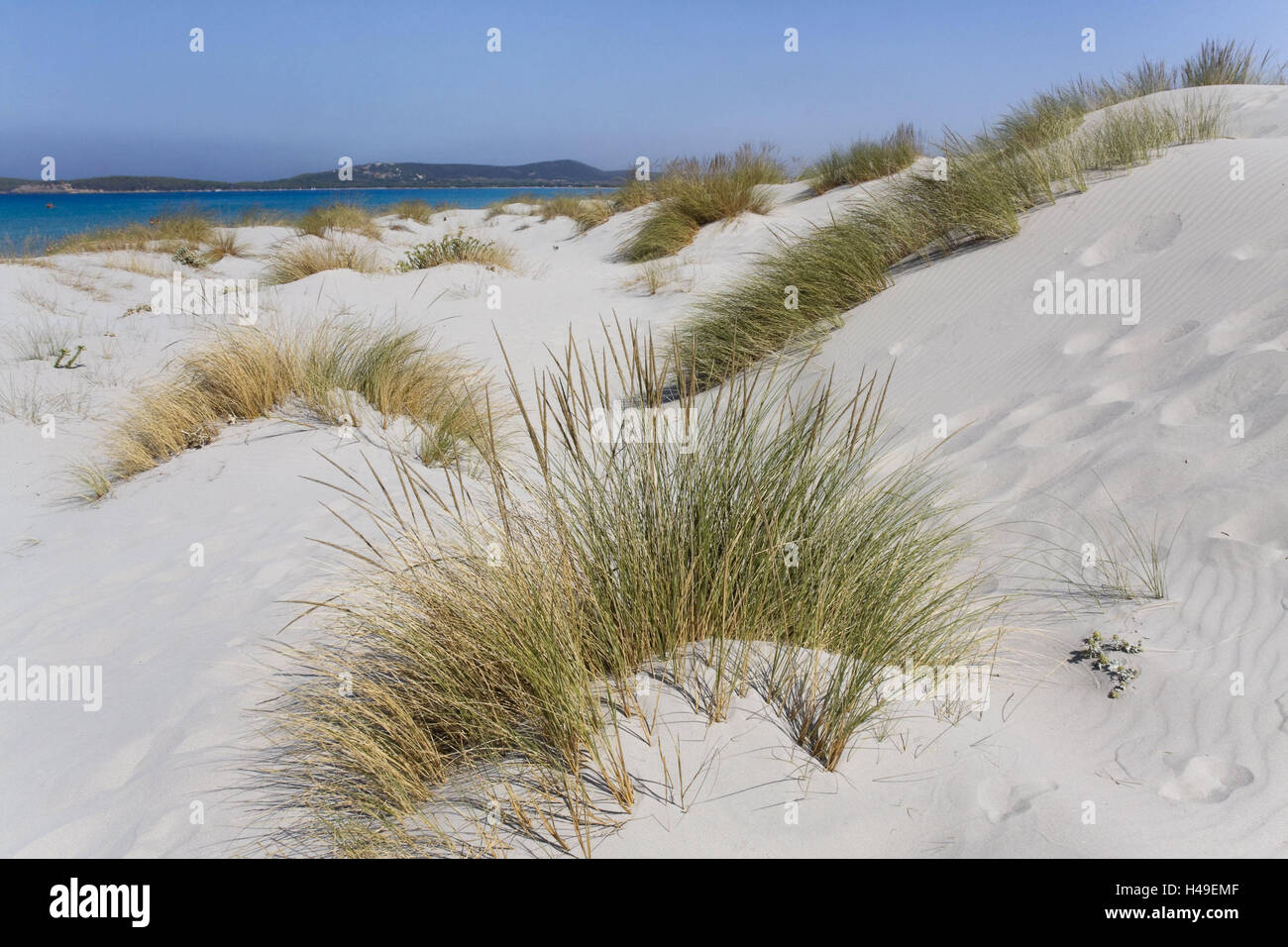 Sand with grass hi-res stock photography and images - Alamy