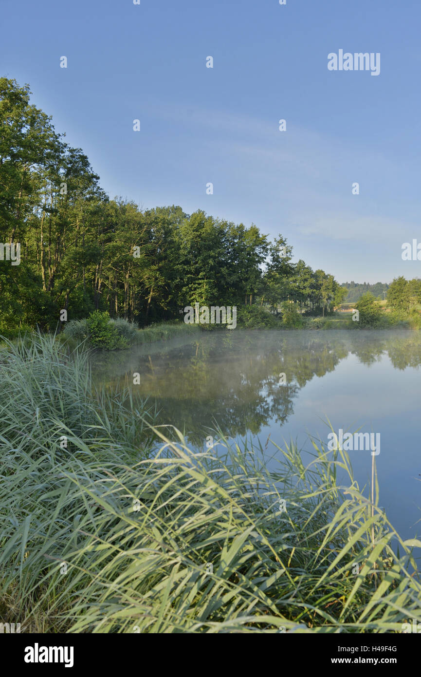 Scenery, mirroring, lake, haze, fog Stock Photo - Alamy