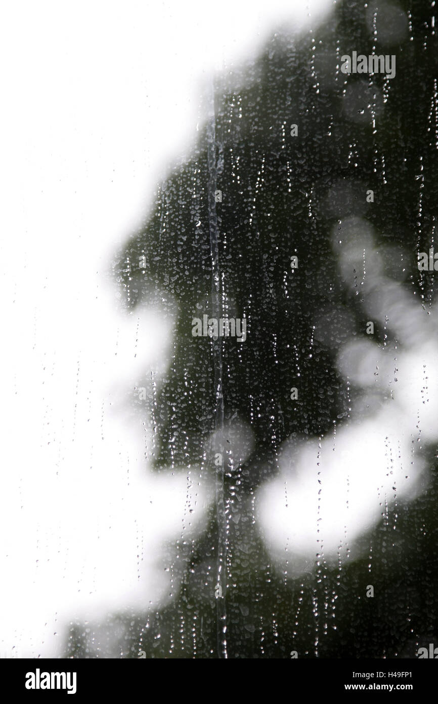 Window, wet, view, trees, blur, car window, windowpane, dirty, drops of ...