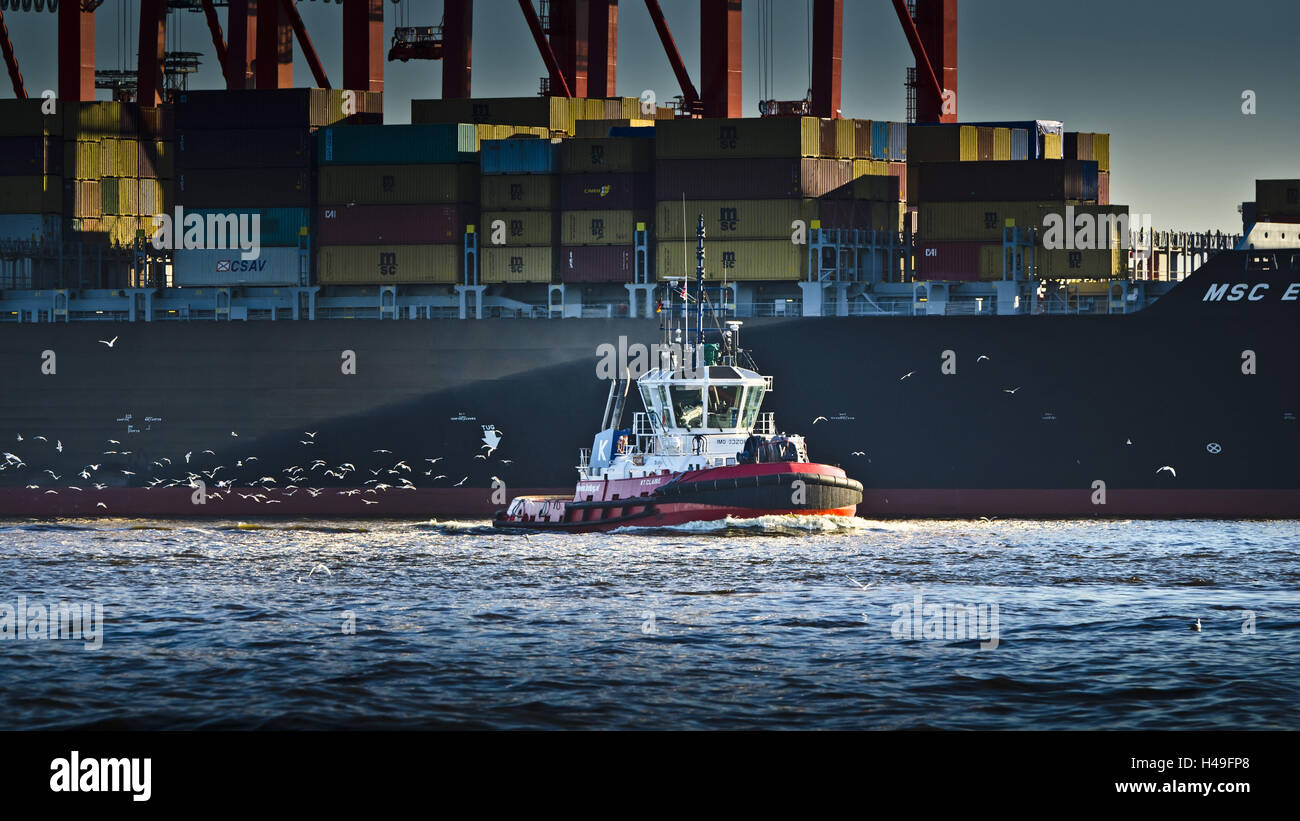 Germany, Hamburg, Waltershof, Elbe, harbour, container terminal ...