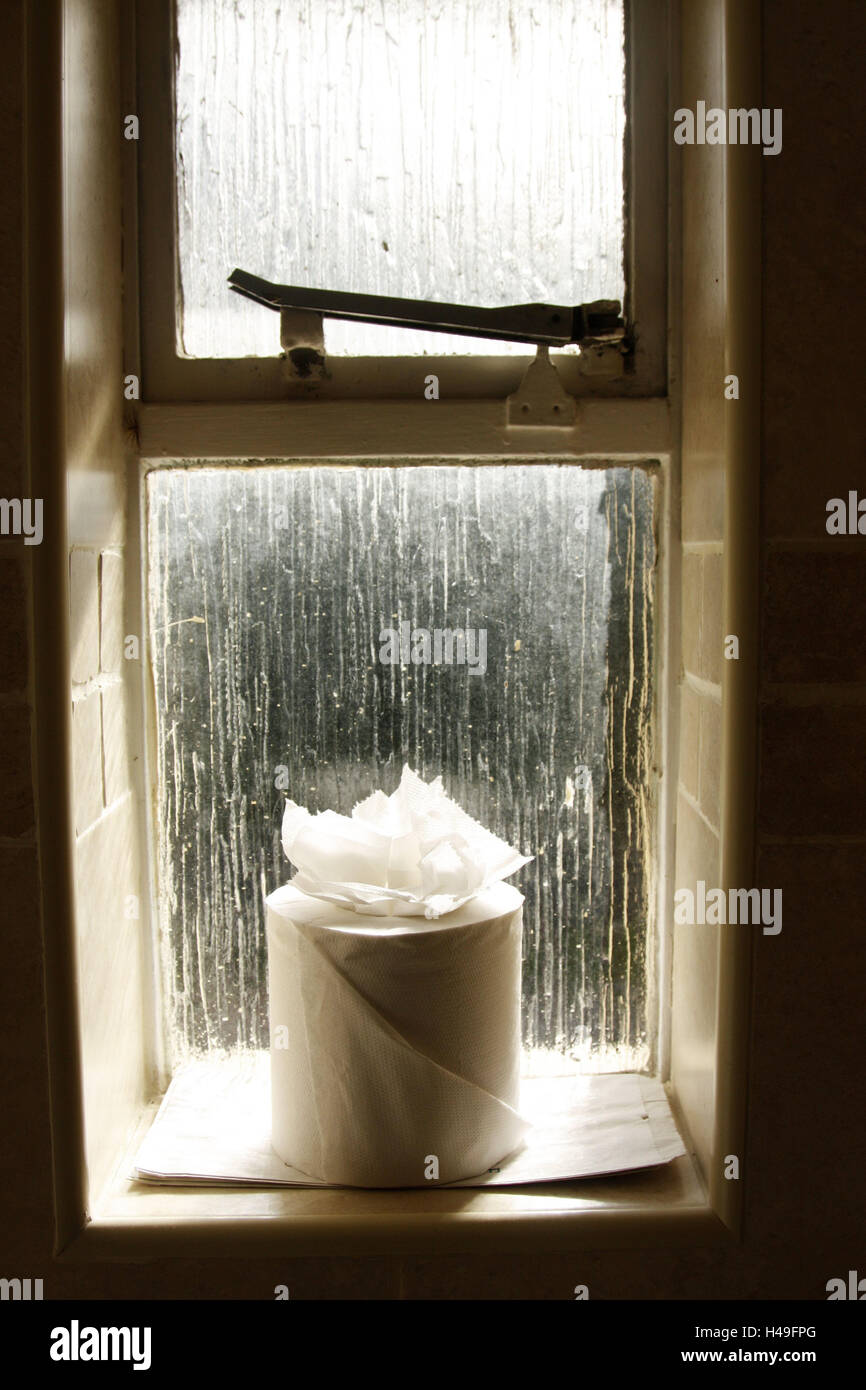 Flat in an old building, toilet, window, toilet paper roll, flat, old ...