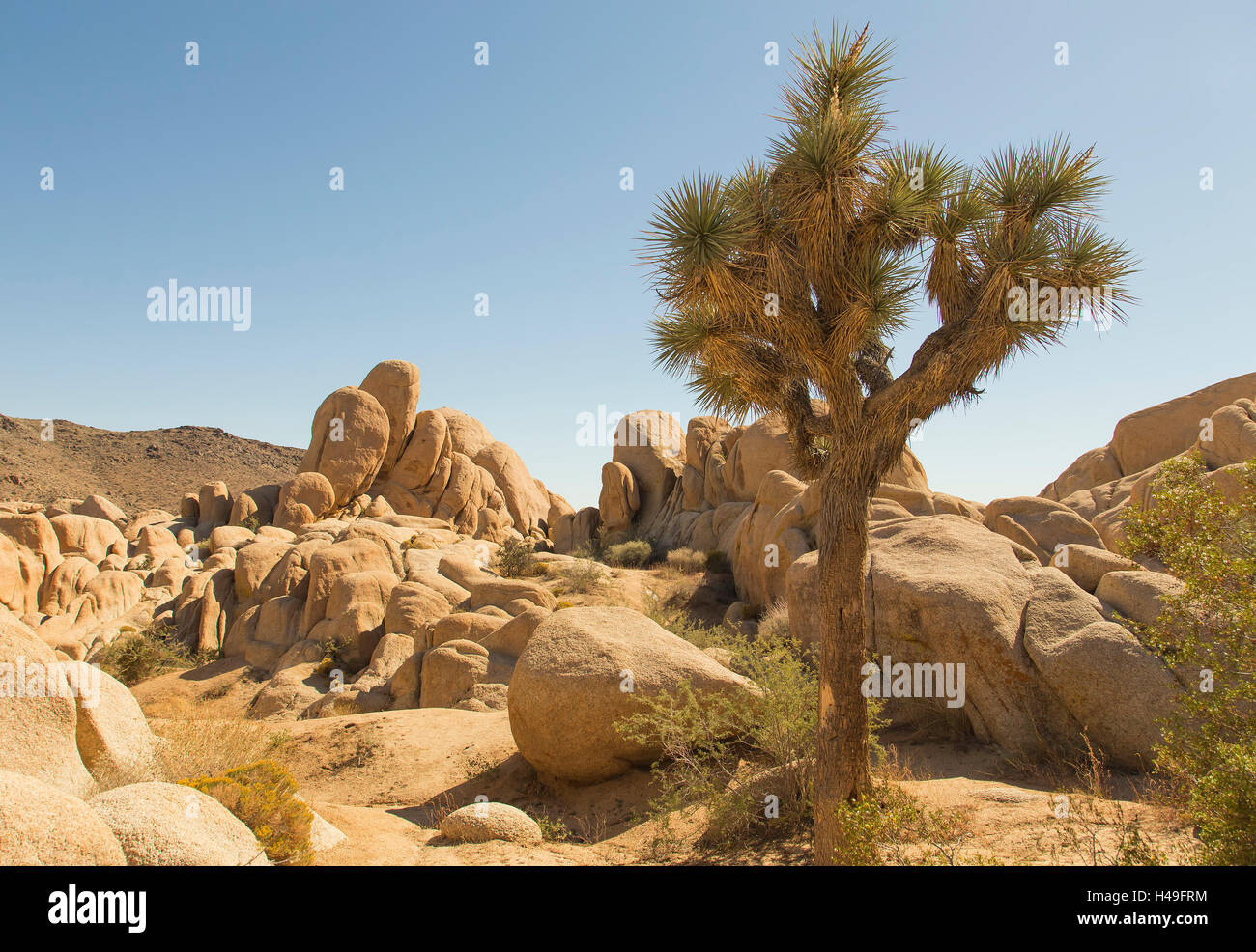 Joshua Tree National Park, California Stock Photo - Alamy
