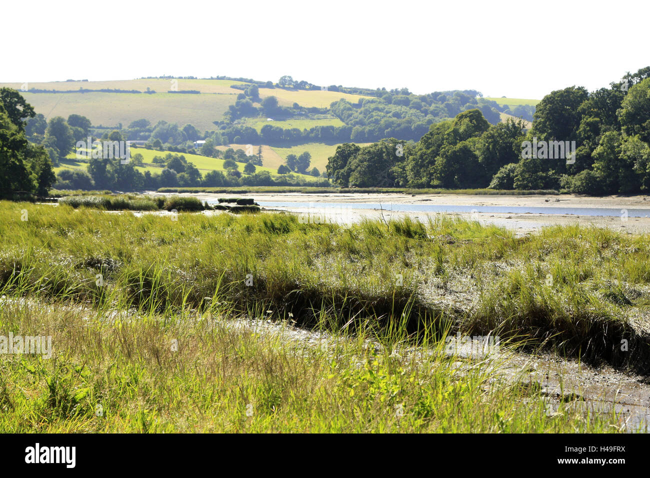 Great Britain, Devon, Dart, riverbed, shore, grass, England, hill ...