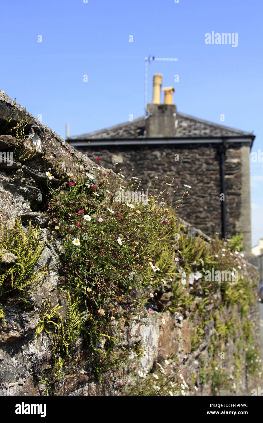 Great Britain, Devon, Totnes, house, stone defensive wall, plants ...