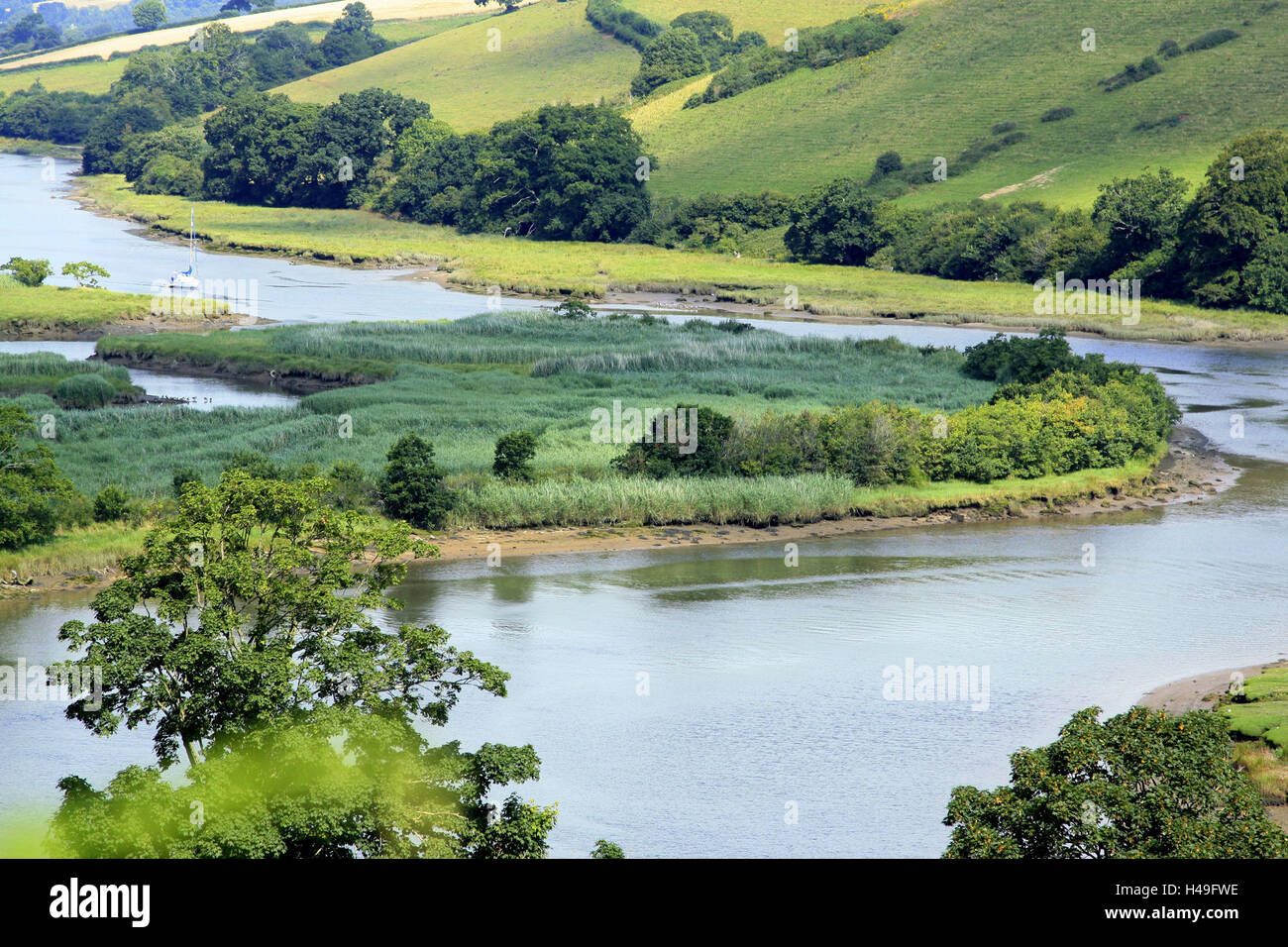 UK, Devon, Totnes, river landscape, summer, England, rolling landscape ...