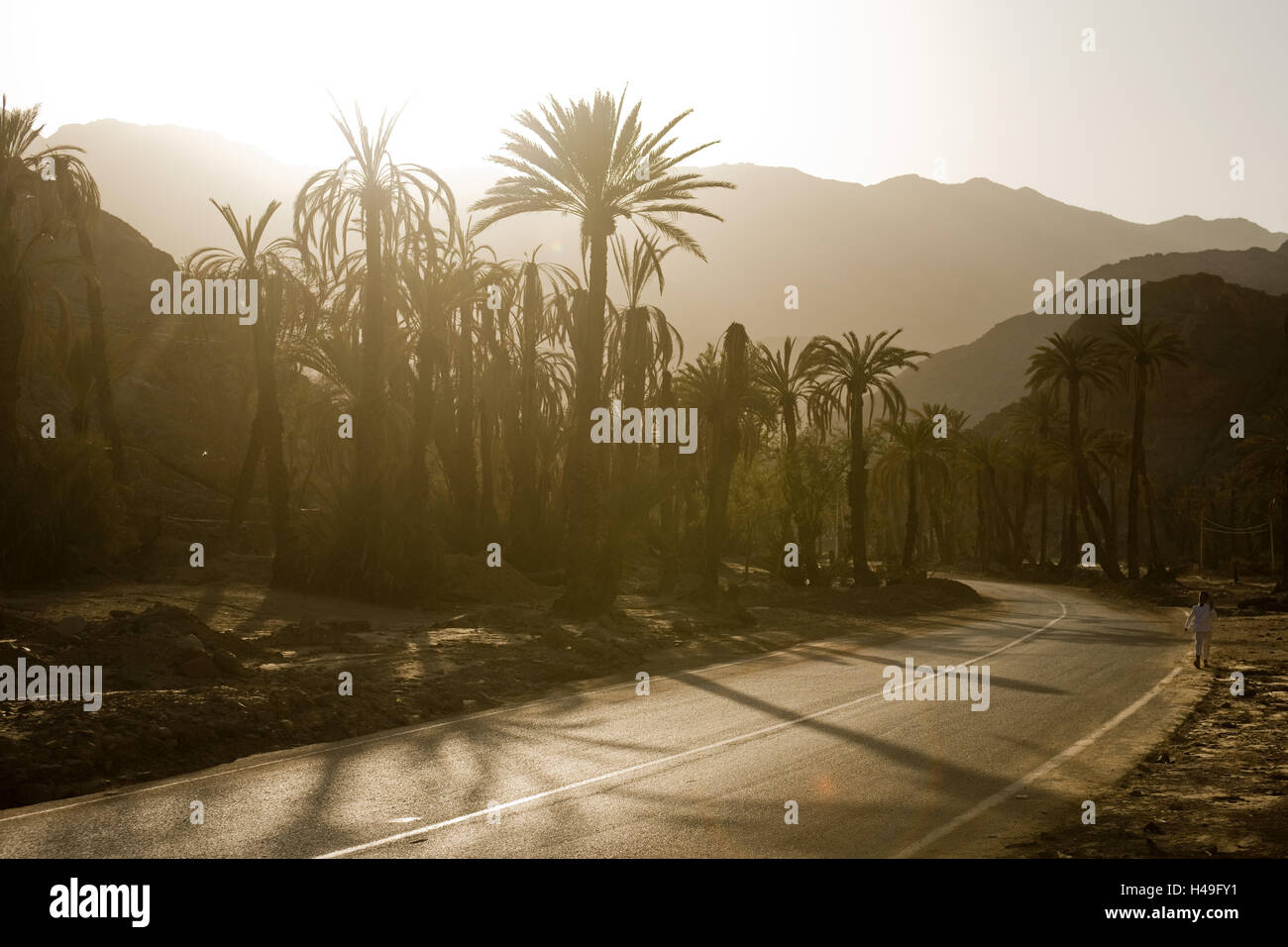 Feiran oasis hi-res stock photography and images - Alamy