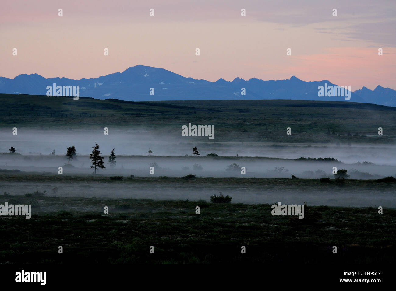 Alaska, scenery, nature, morning mood, fog Stock Photo - Alamy