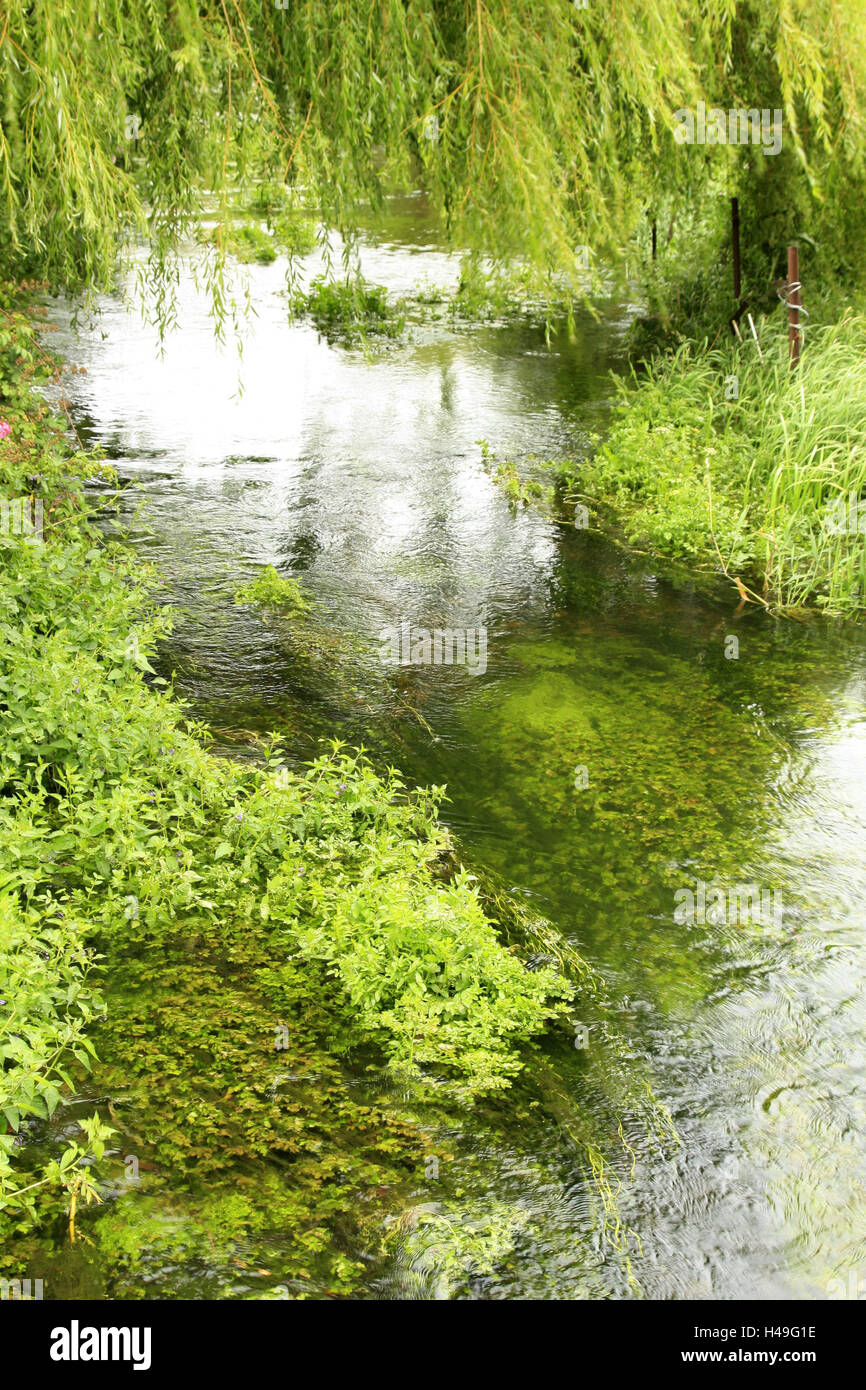 Wood, brook, summer, park, park, waters, watercourse, water plants, to ...