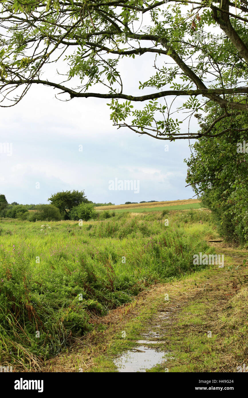 Great Britain, Norfolk, Castle Acre, field scenery, way, rain, England ...