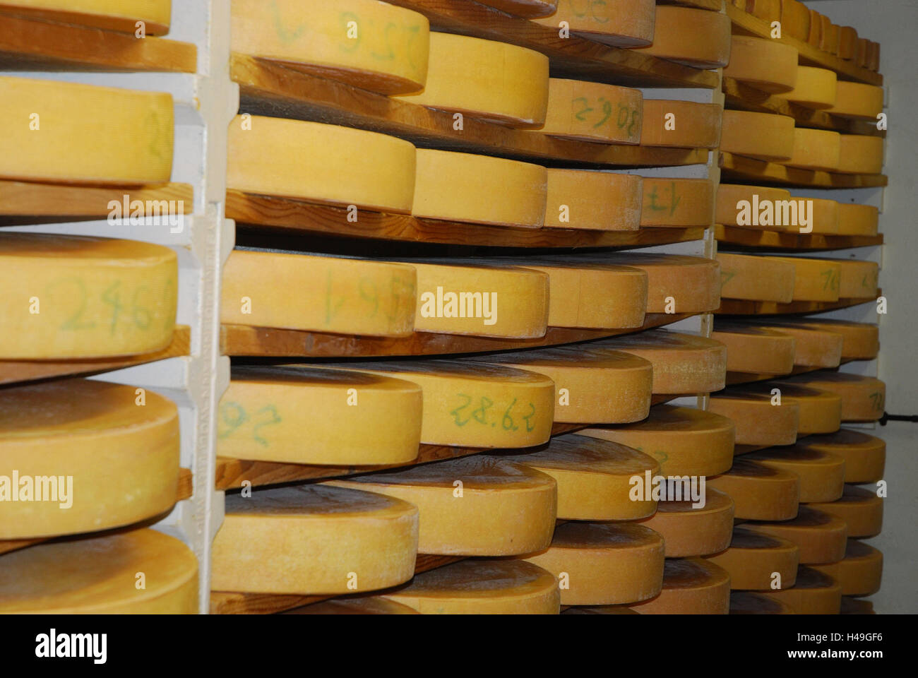 Austria, Tyrol, Zillertal, nice meadow, Wildschönau, cheese dairy ...