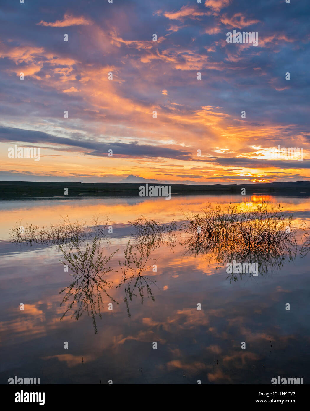 Belle fourche sd hi-res stock photography and images - Alamy Belle fourche sd hi-res stock photography and images - Alamy