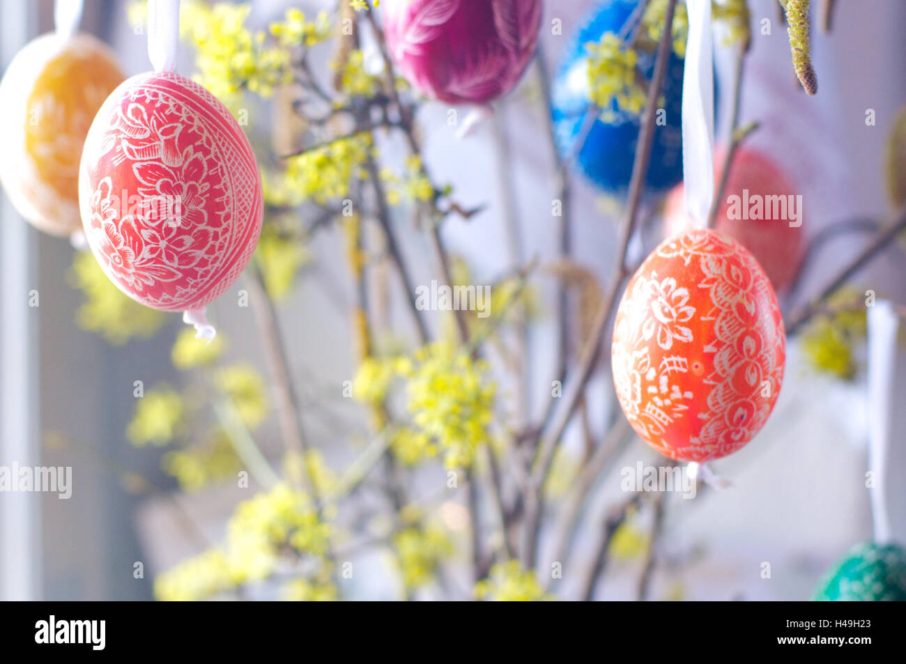 Easter shrub hi-res stock photography and images - Alamy