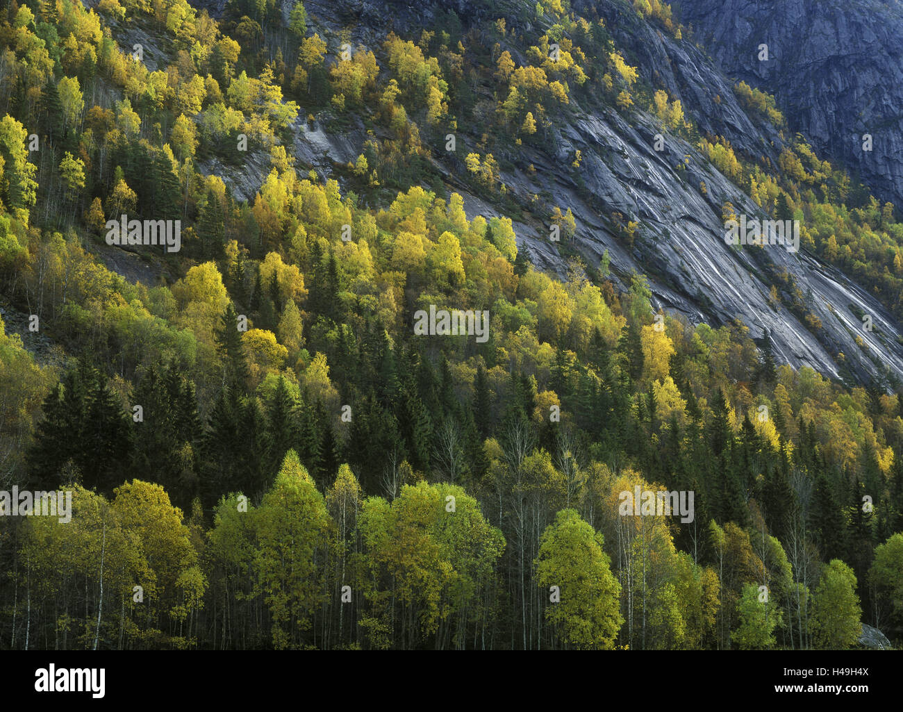 Aust agder hi-res stock photography and images - Alamy