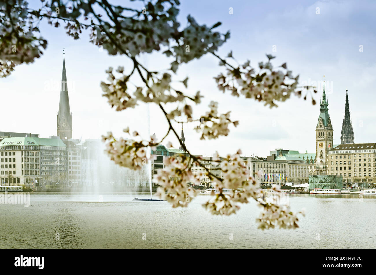 Germany, Hamburg, city centre, Alster, Inner Alster, cherry blossom ...