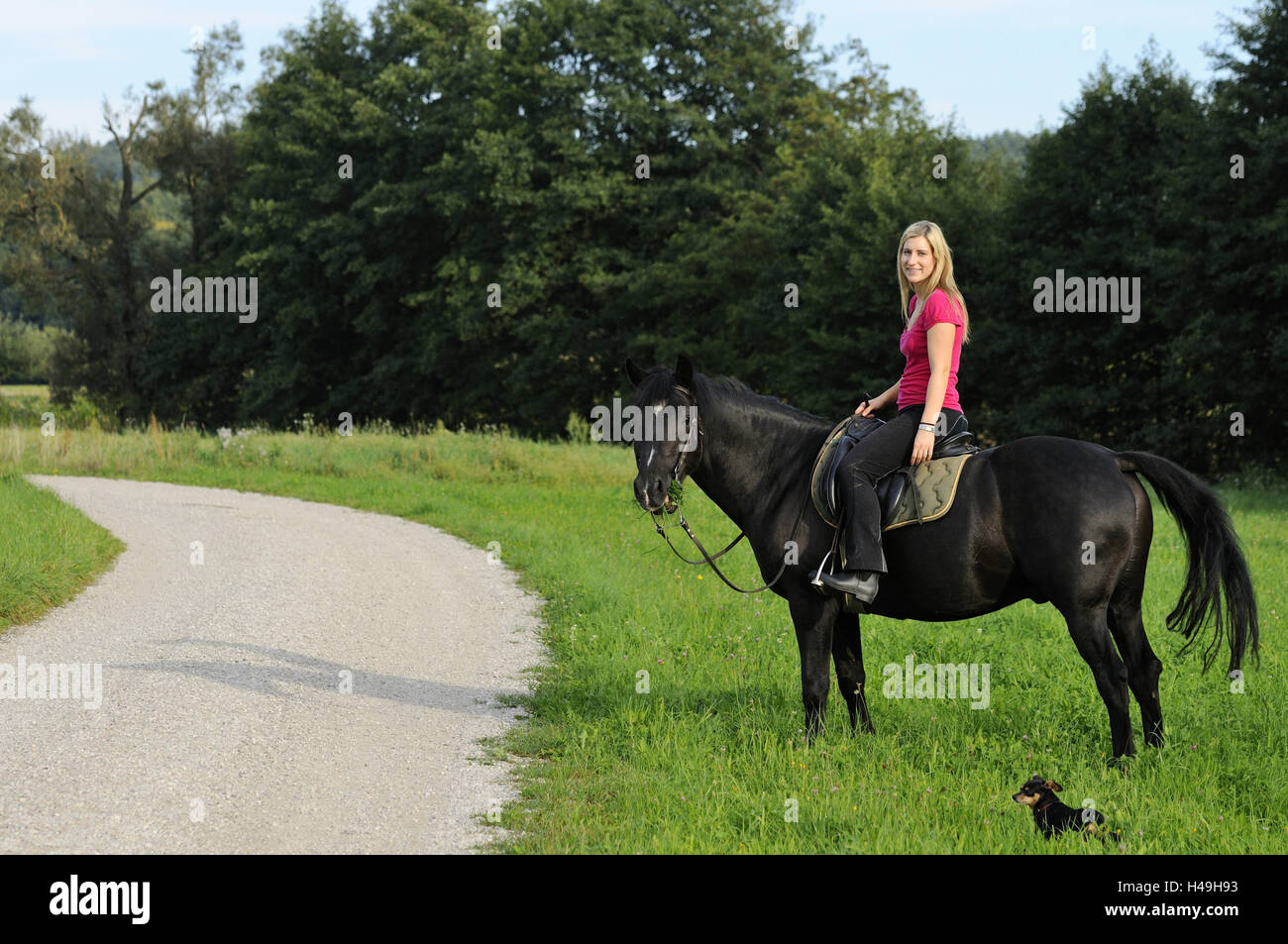 Rider, horse, back, sit, view camera Stock Photo - Alamy
