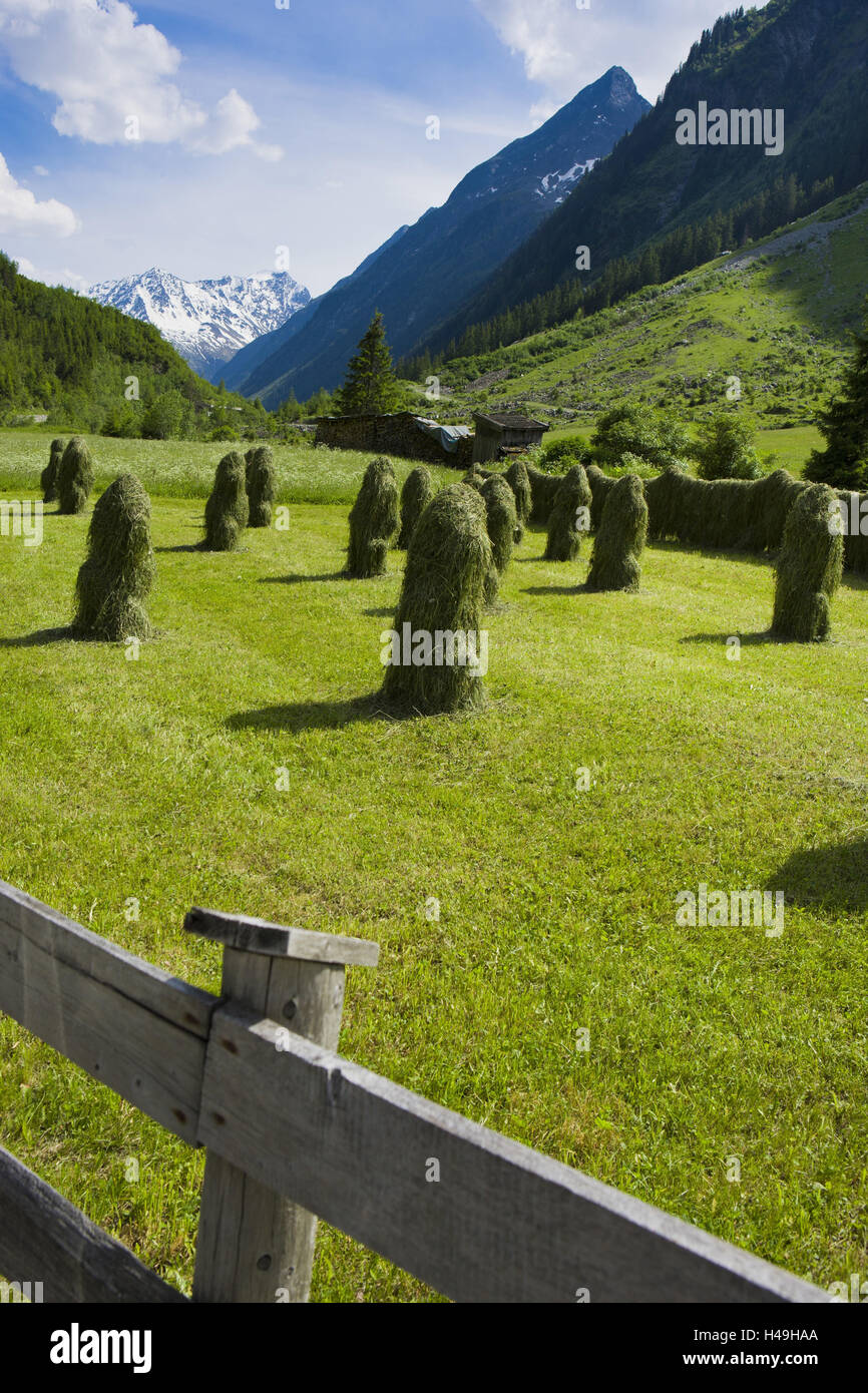 Pitztal (valley), Tyrol, Imst, Austria Stock Photo - Alamy