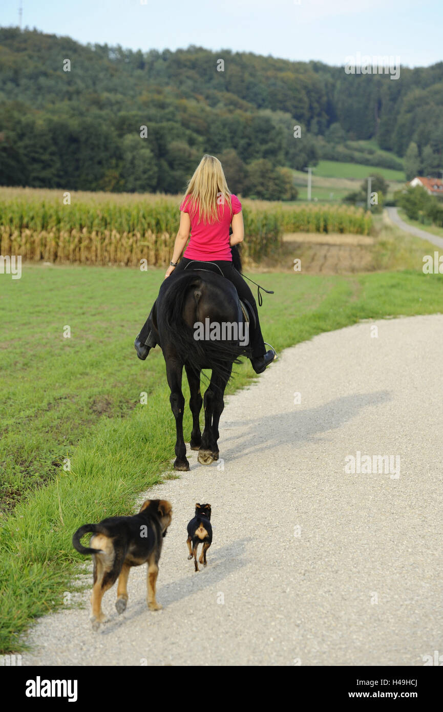 Rider, horse, back, sitting, back view Stock Photo - Alamy