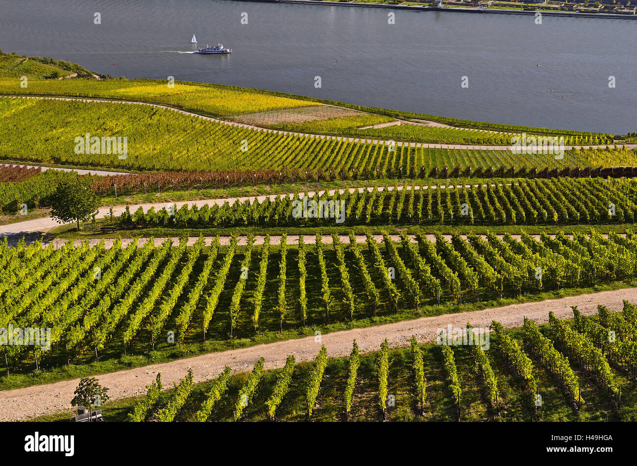 Rheingau vineyards hi-res stock photography and images - Alamy