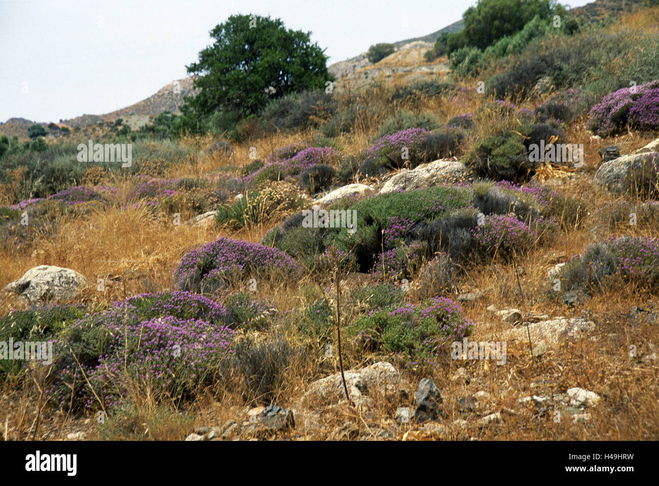 Kamilari crete hi-res stock photography and images - Alamy