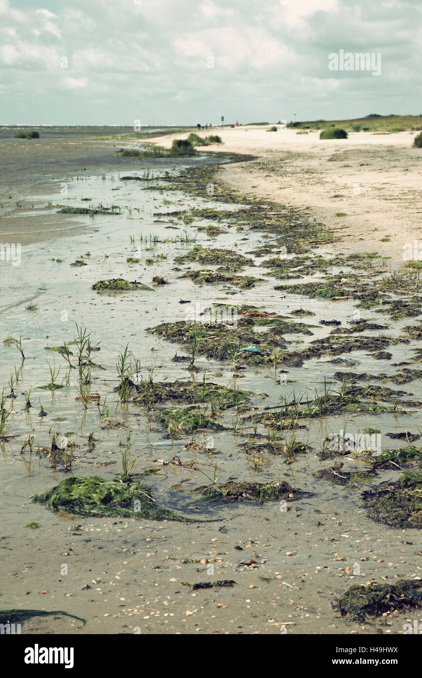 Algae mudflats hi-res stock photography and images - Alamy
