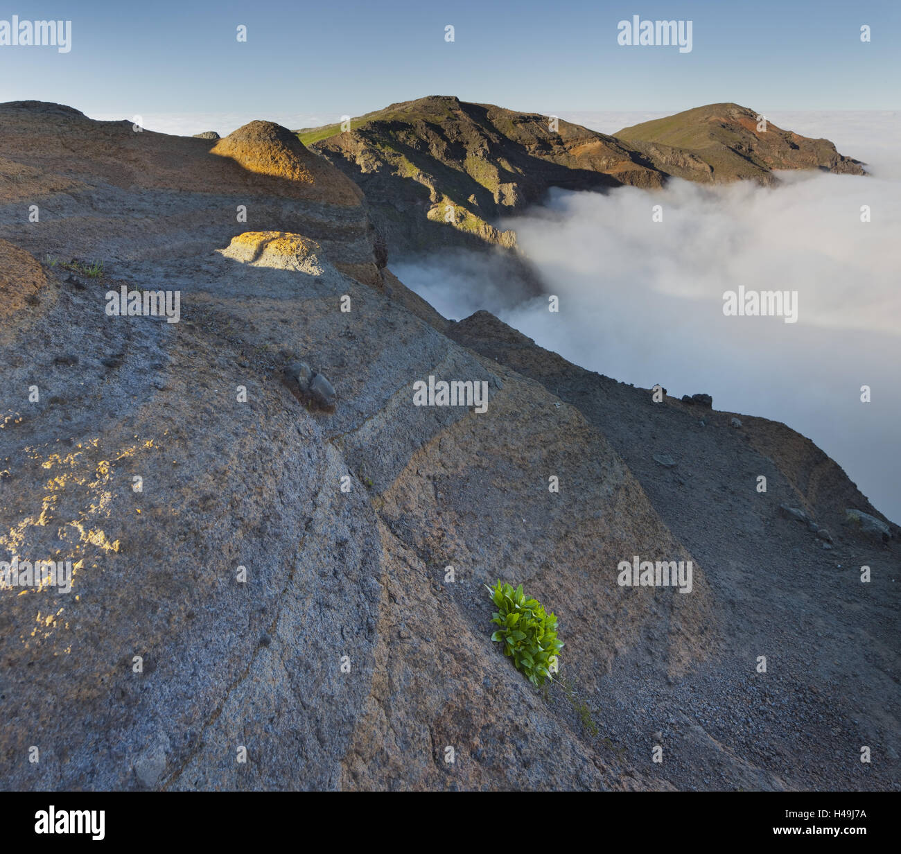 Volcano rock and mountain Cedro, Arieiro, Madeira, Madeira, Portugal ...