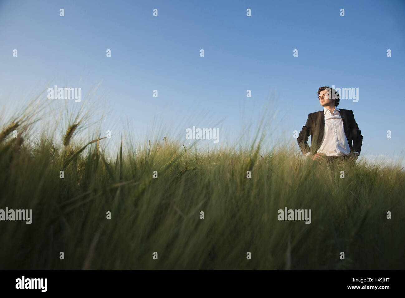 Field manager hi-res stock photography and images - Alamy
