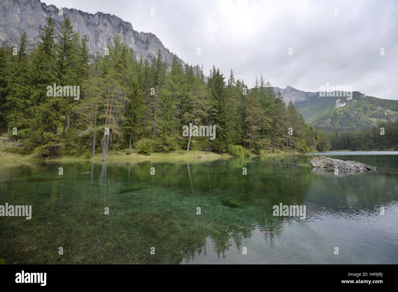 Scenery, green lake, Styria, Austria, Europe Stock Photo - Alamy