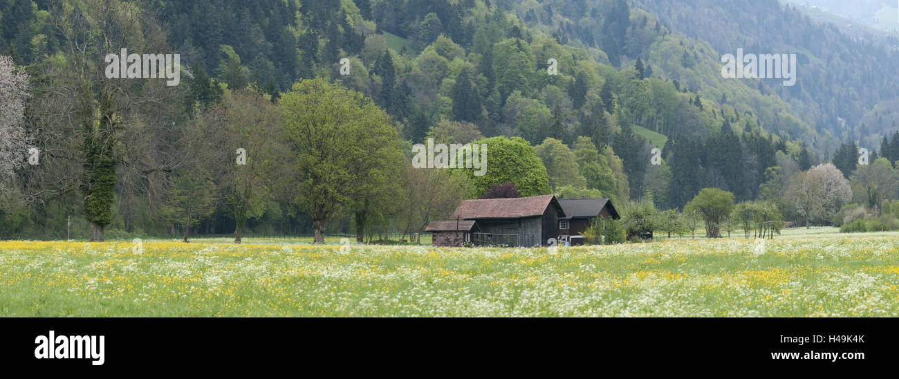 Switzerland, the Bernese Oberland, farm house in spring Stock Photo - Alamy
