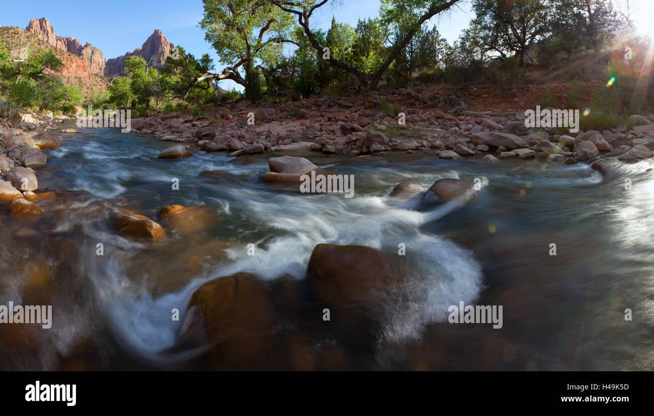 Zion wave formation hi-res stock photography and images - Alamy