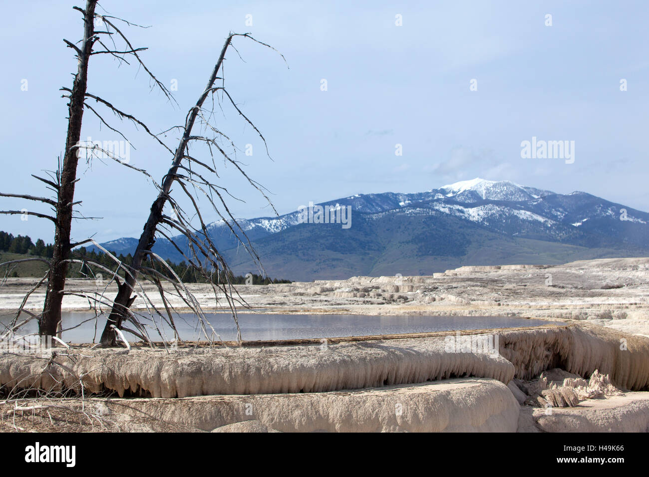 USA, Yellowstone National Park, Mammoth Hot Springs, Main Terrace Stock ...