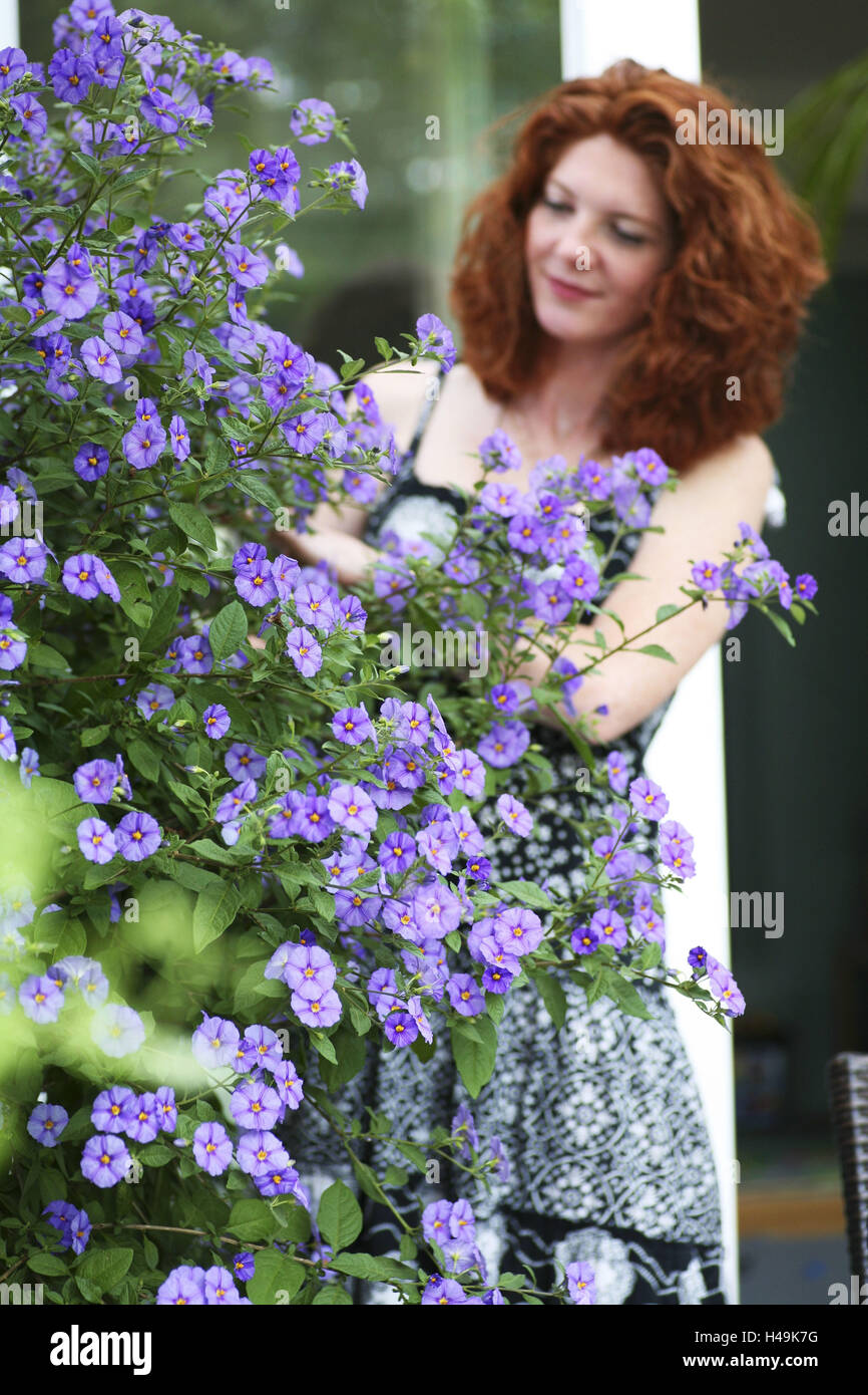 Woman with blue potato bush hi-res stock photography and images - Alamy