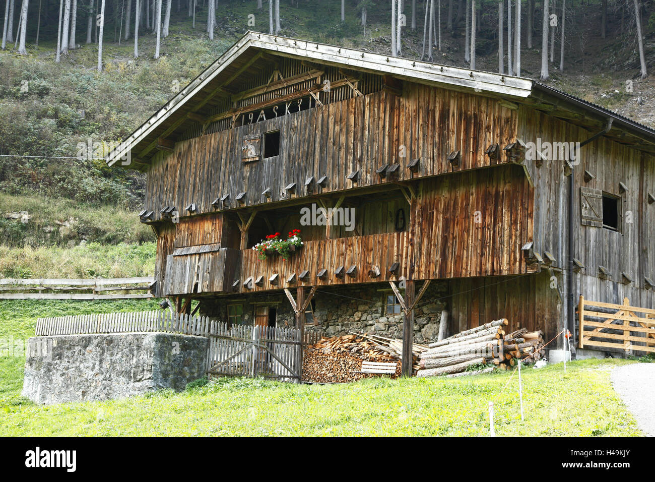 South Tyrolean farm, outside, barn, balcony, wooden house, house, Italy ...