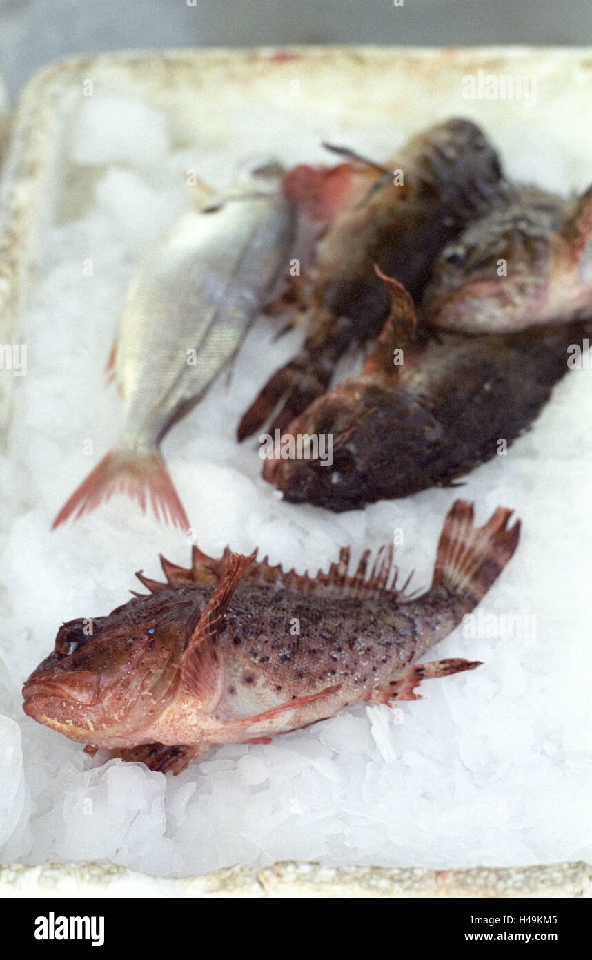 Market, fresh food, fish, offer Stock Photo - Alamy
