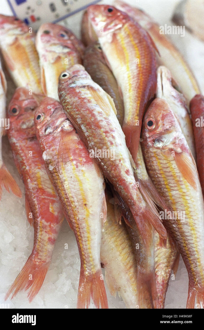 Market, fresh food, fish, rouget Stock Photo - Alamy