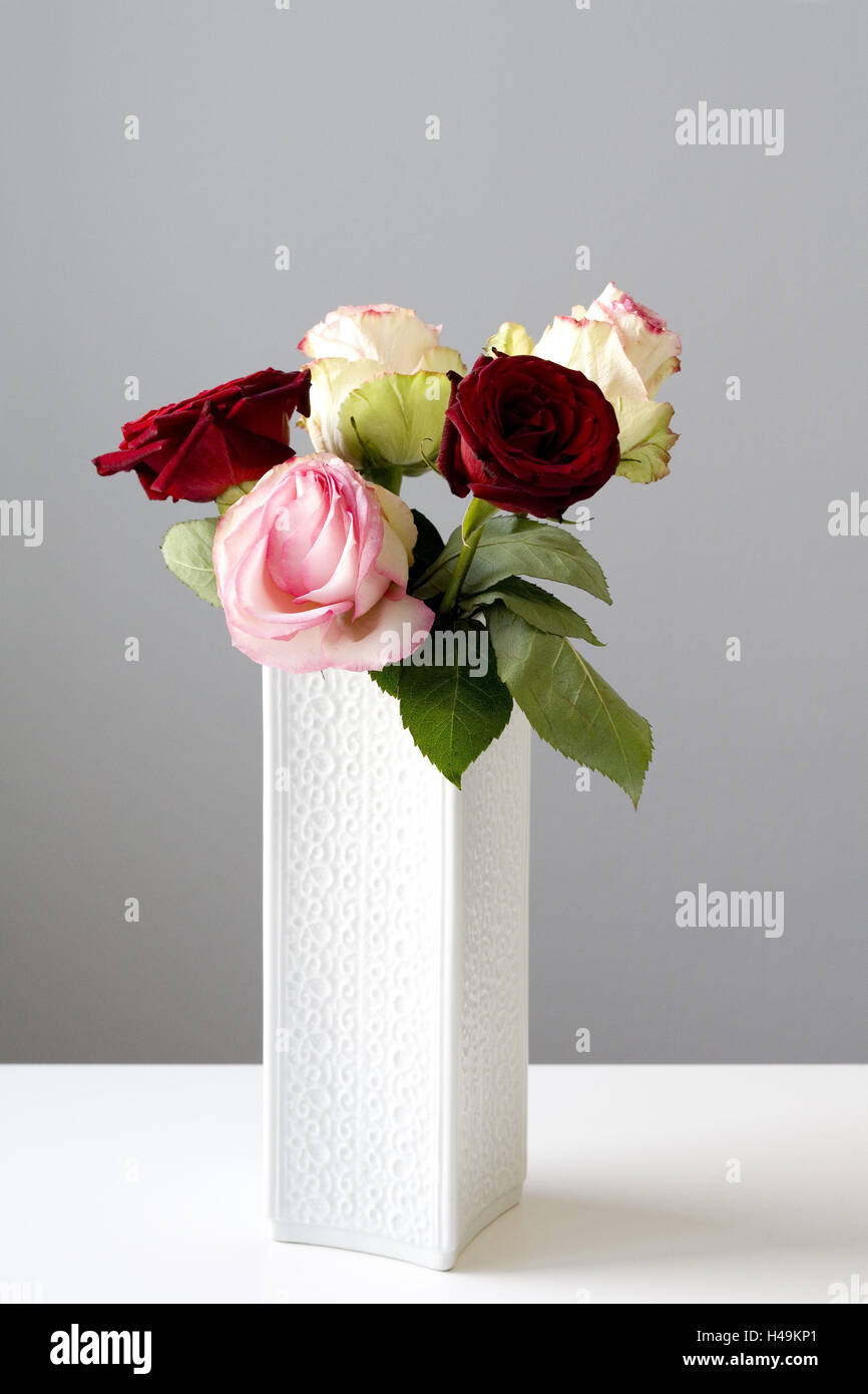 Roses in white vase Stock Photo - Alamy