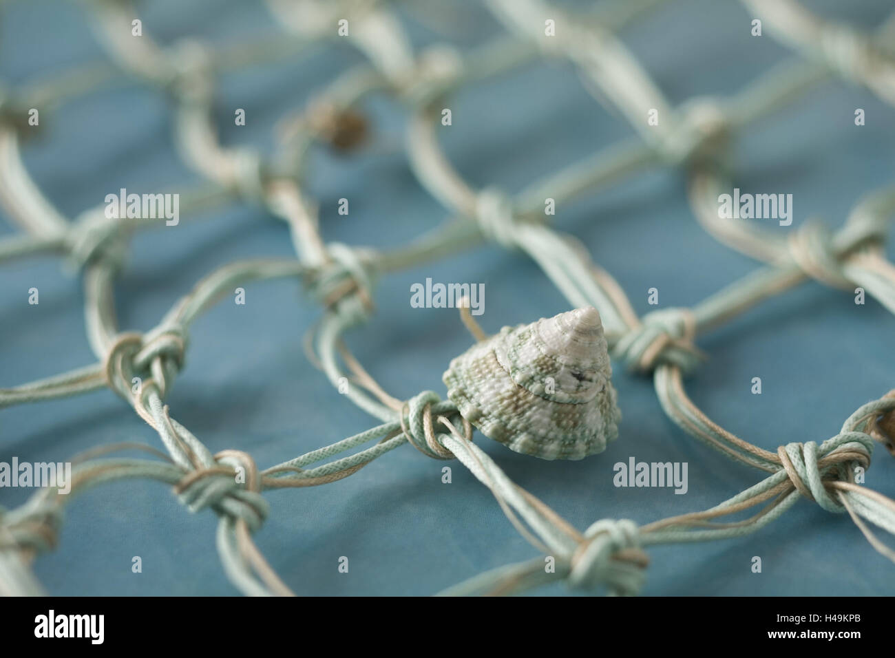 Net with mussel, close-up Stock Photo - Alamy