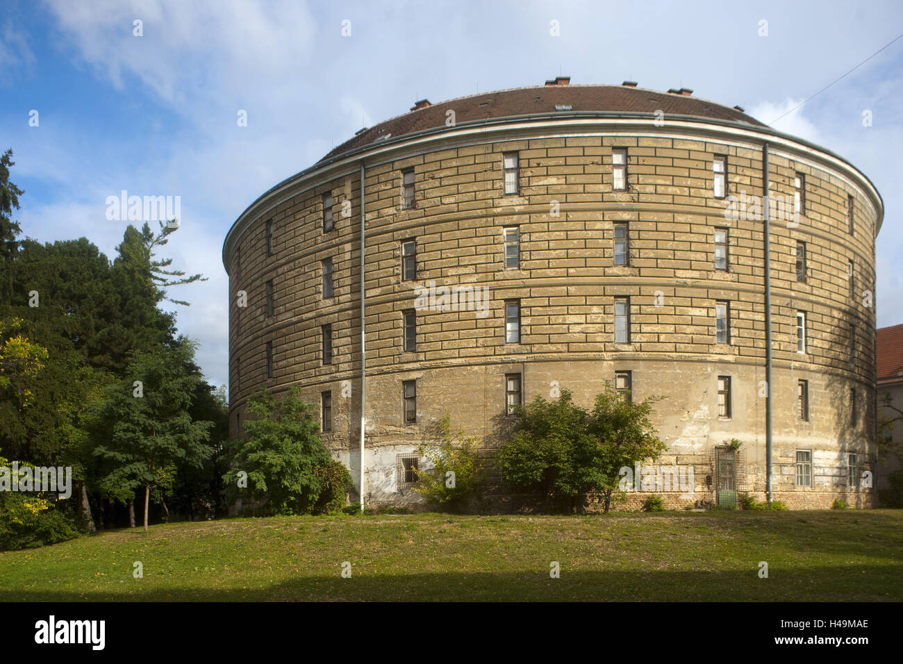 Pathological anatomical museum hi-res stock photography and images - Alamy