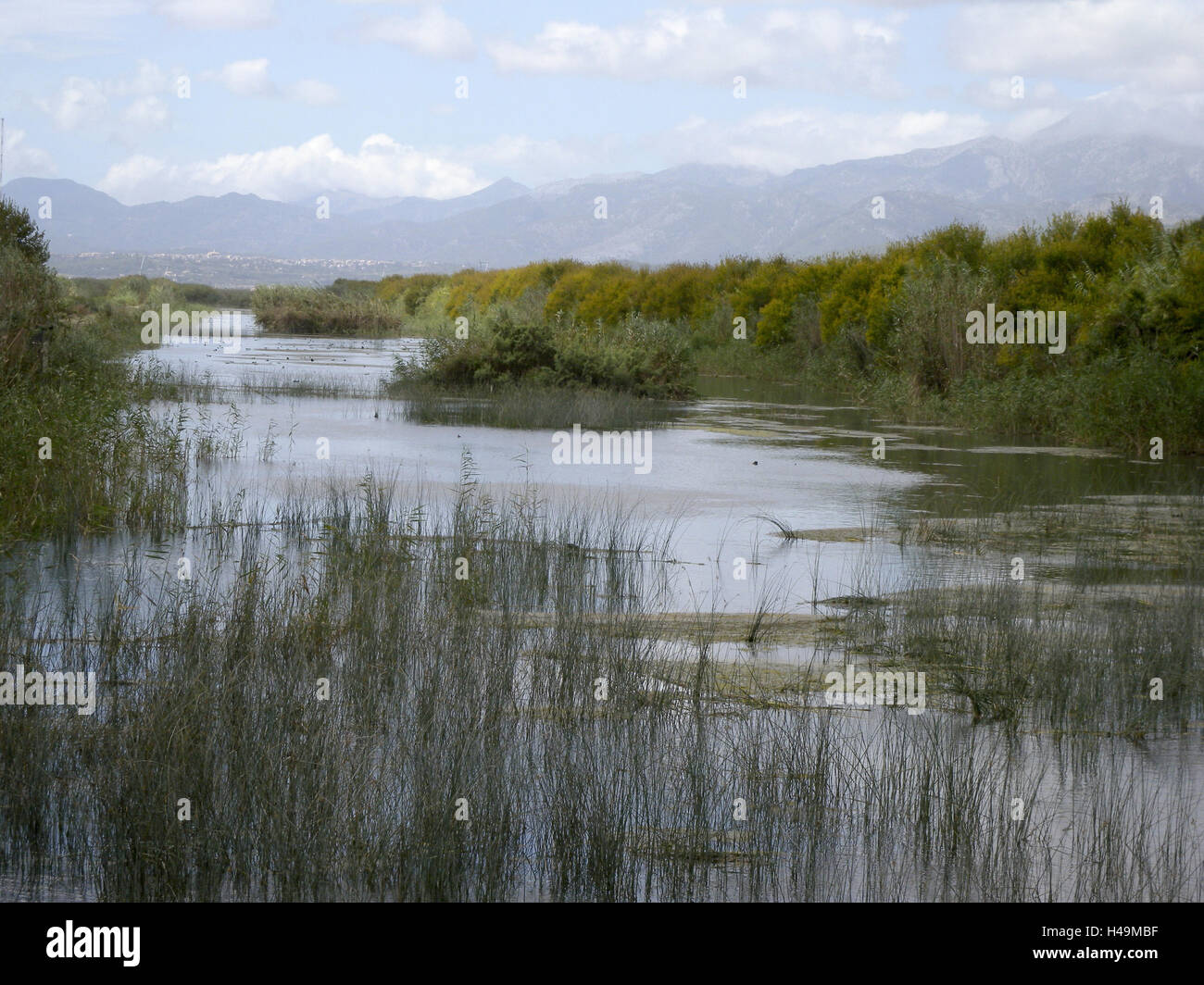 Albufera natural park majorca hi-res stock photography and images - Alamy