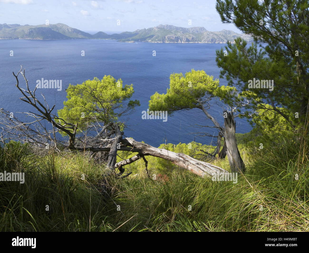 Peninsula Victoria, view at bay of Pollenca and Cap de Formentor ...