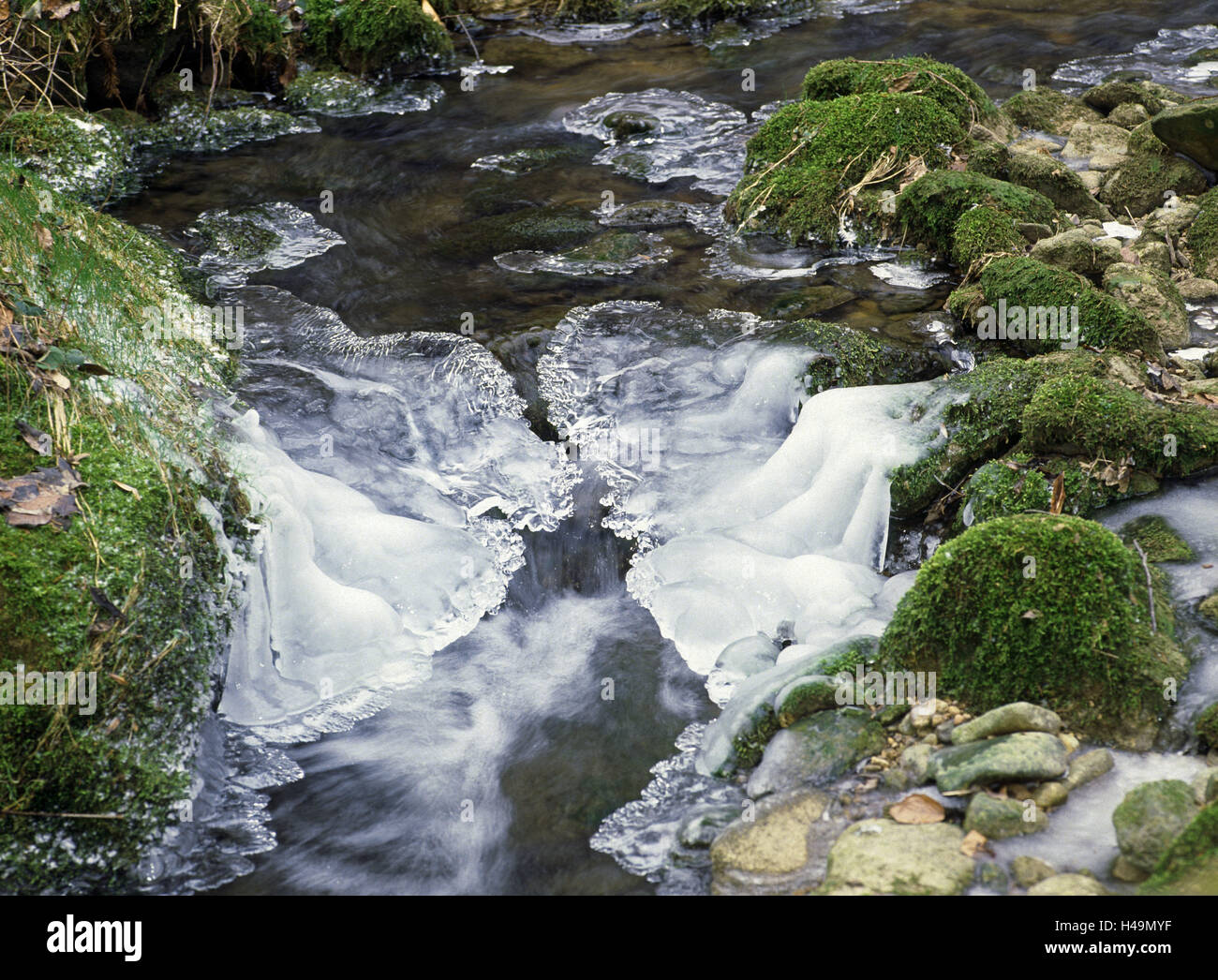 Brook merzen hi-res stock photography and images - Alamy