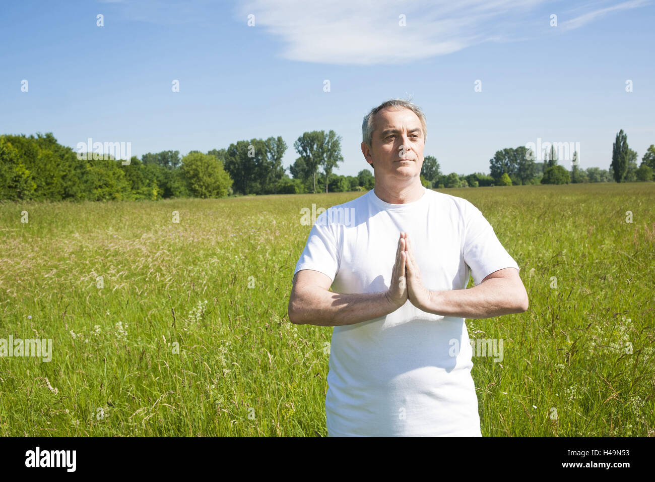 Boss, yoga, meadow Stock Photo - Alamy