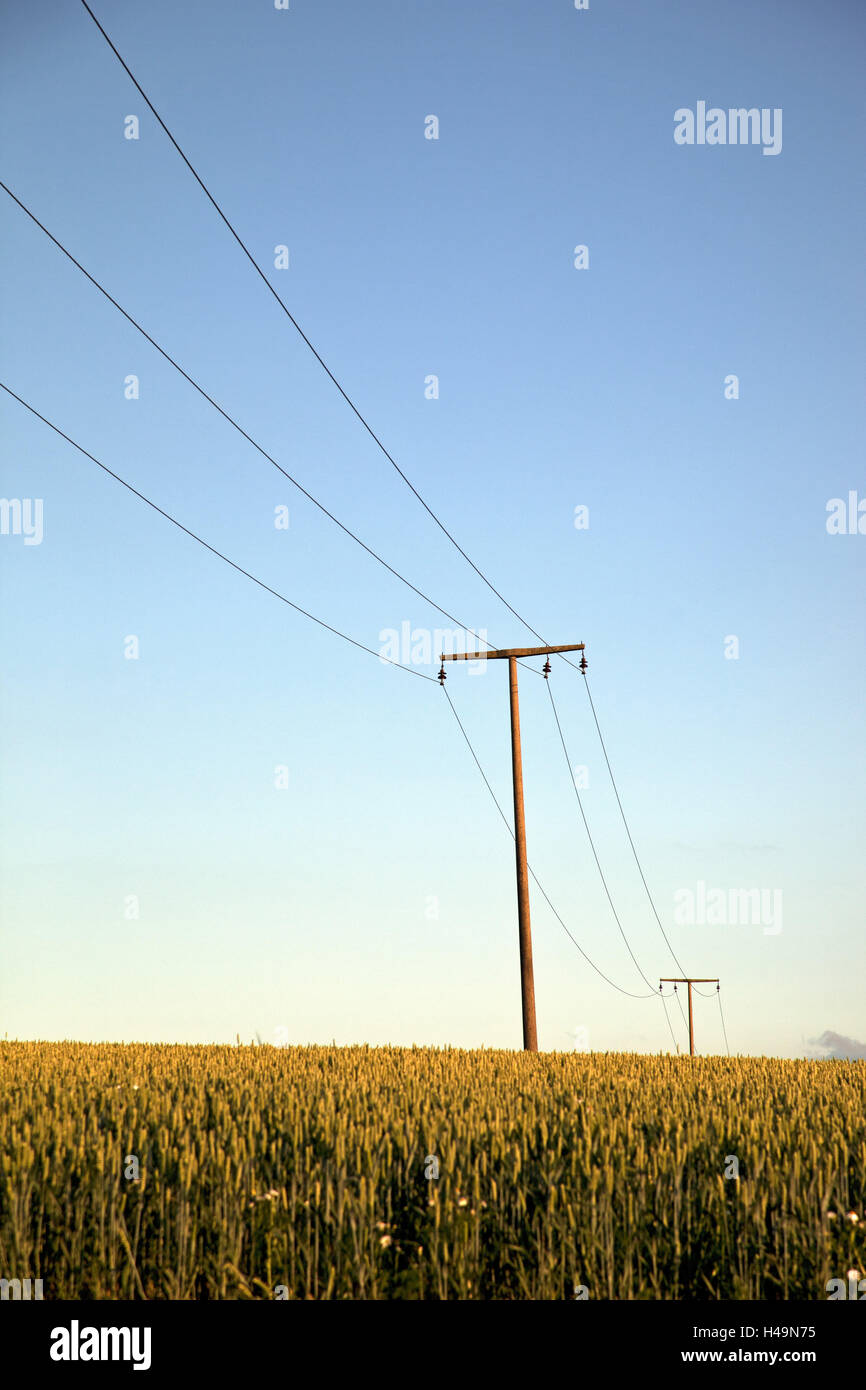 Field, agriculture, power poles, rurally, blue heaven, grain-field ...