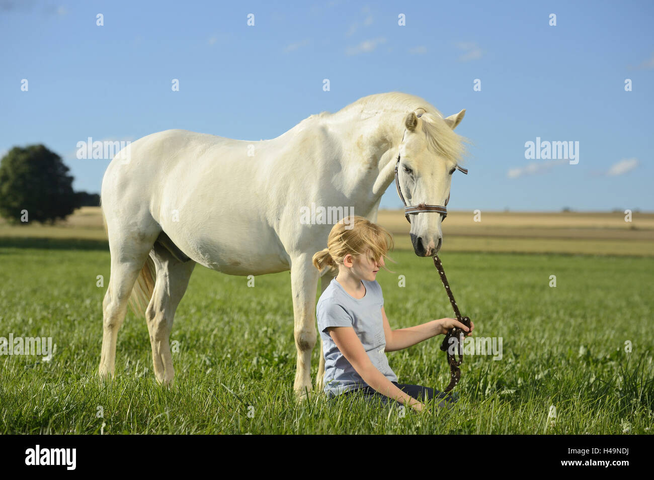 Rider pony hi-res stock photography and images - Alamy