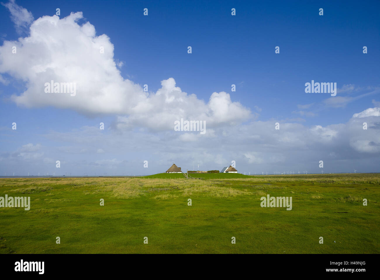 Hallig islands hi-res stock photography and images - Alamy