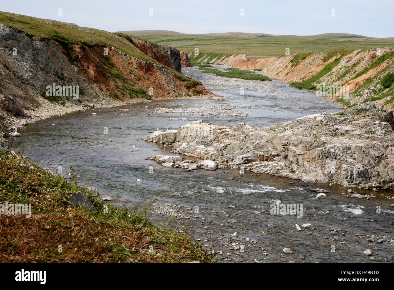 Tundra scenery hi-res stock photography and images - Alamy