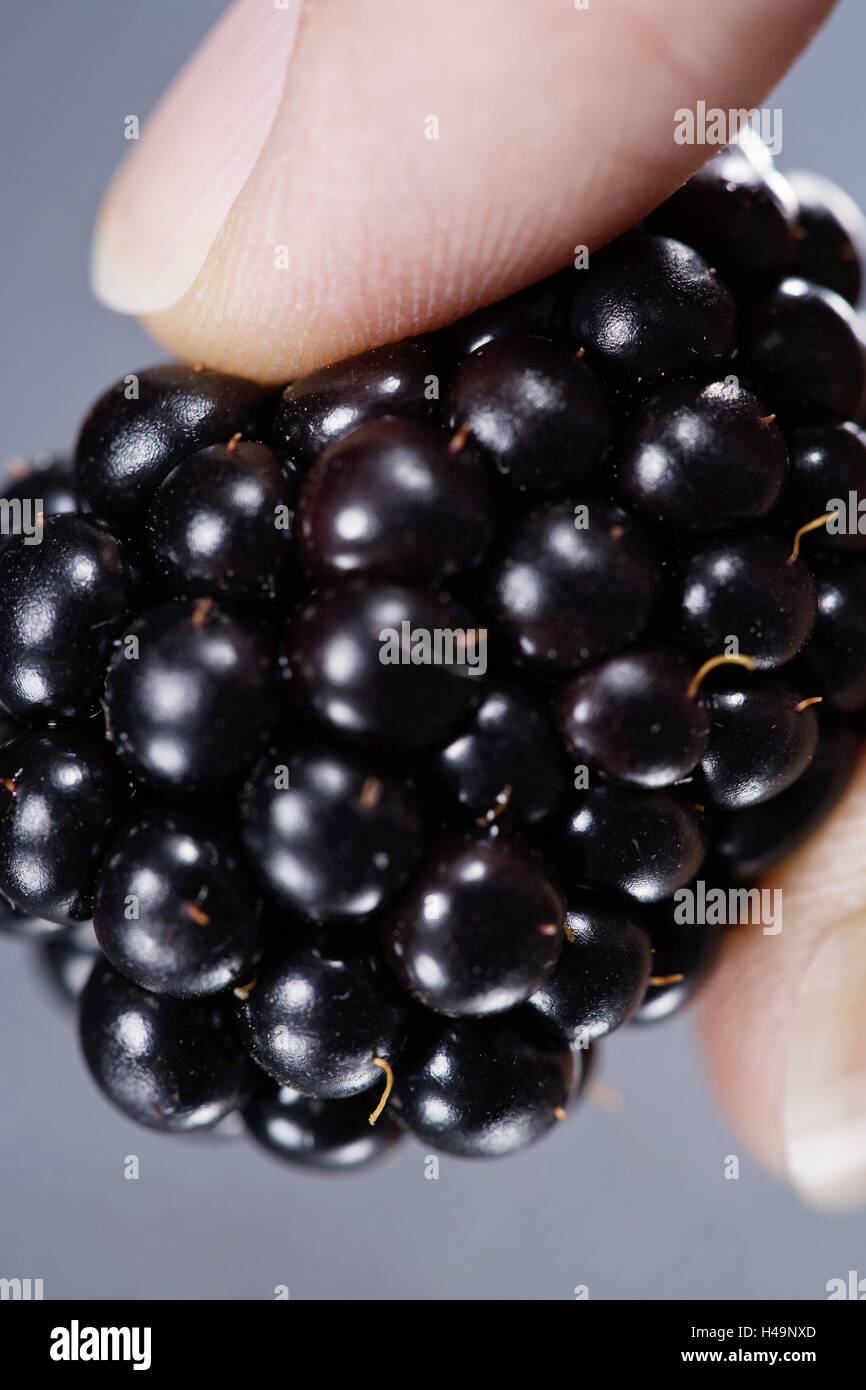 Fingers, blackberry, hold, close up, Food, fruit, fruit, summer fruit ...