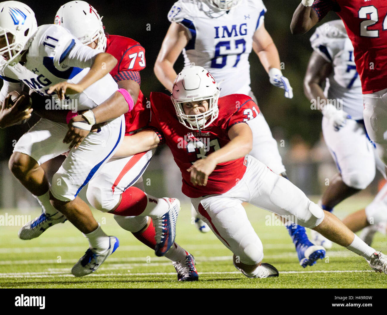 Oxbridge academy florida hi-res stock photography and images - Alamy