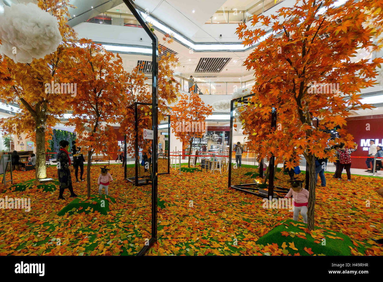 Shanghai, Shanghai, China. 13th Oct, 2016. Photo taken on October 13th ...