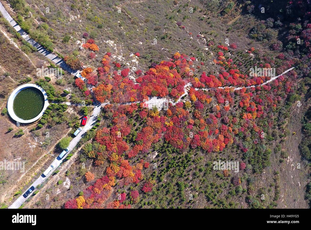 Zhangqiu hi-res stock photography and images - Alamy