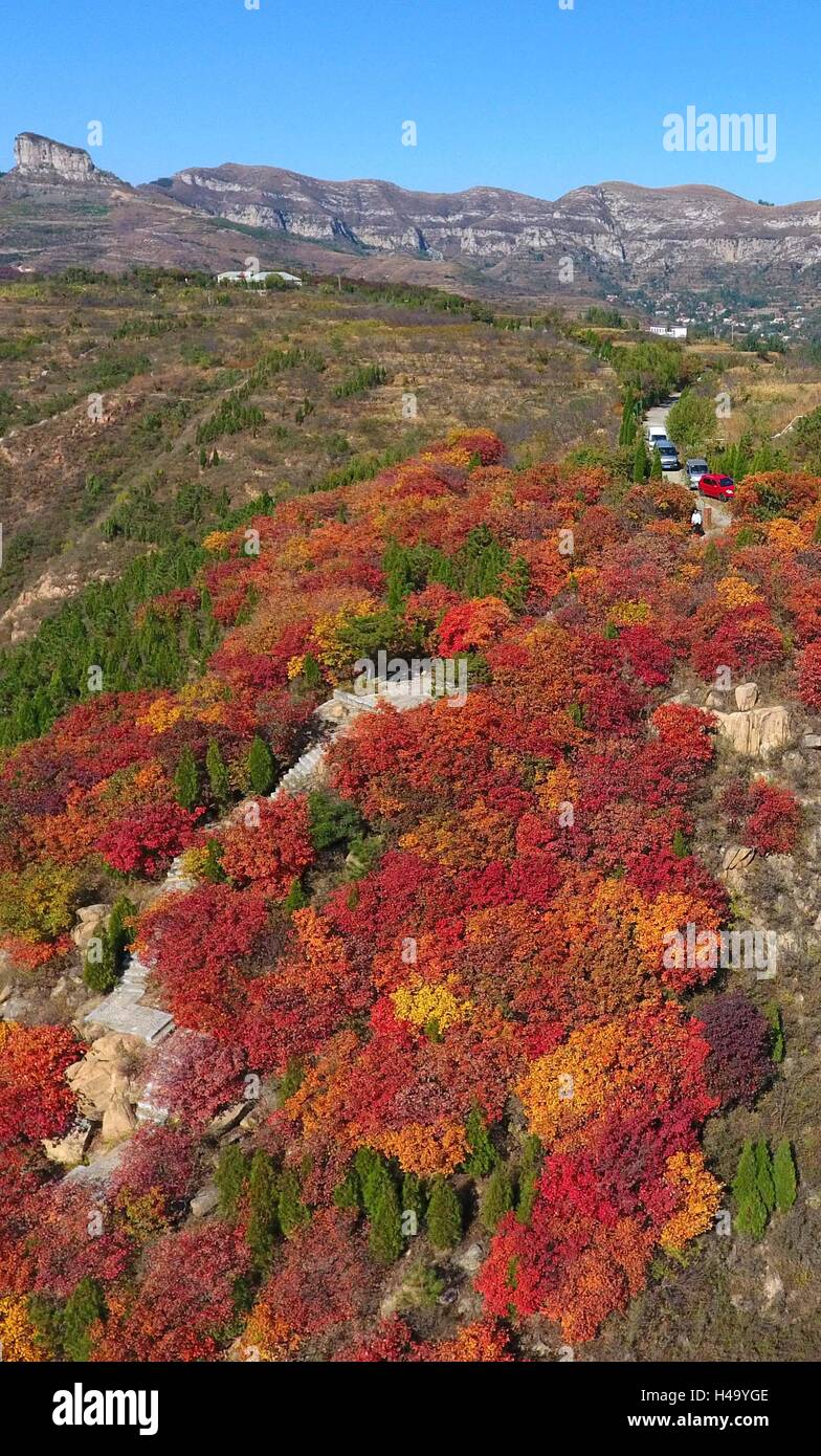 Zhangqiu hi-res stock photography and images - Alamy